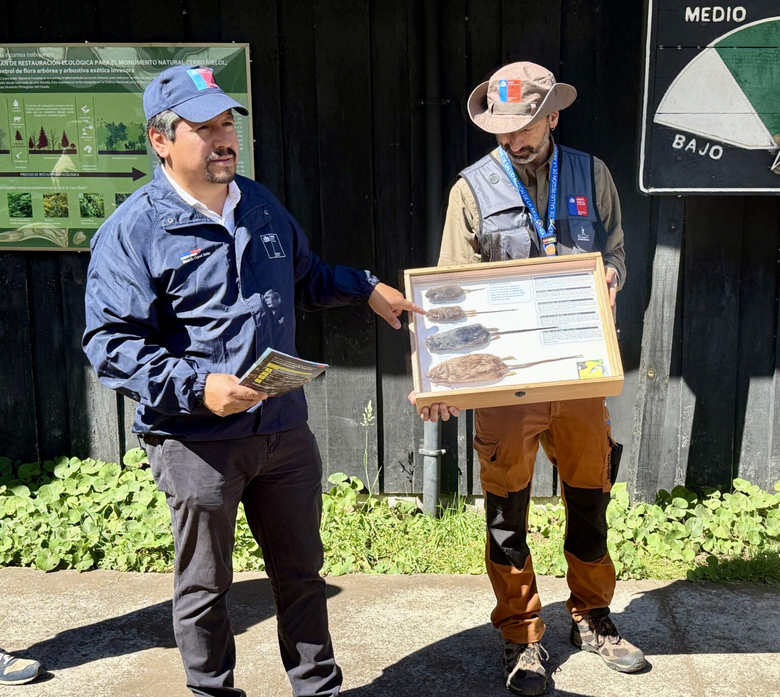 Seremi de Salud refuerza acciones de prevención contra hanta virus con ...